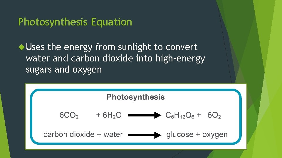 Photosynthesis Cellular Respiration Photosynthesis Equation Uses the energy