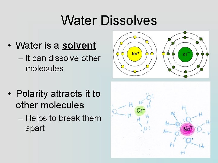 Properties of Water Learning Target I can describe