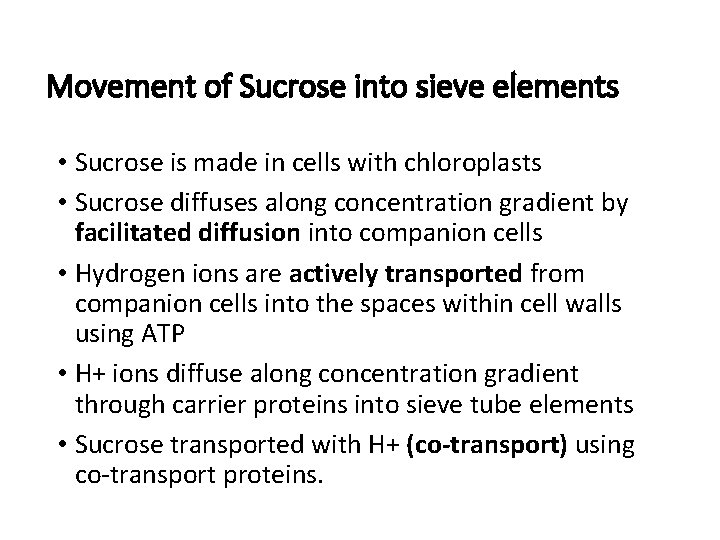 Write questions that will give the answers below