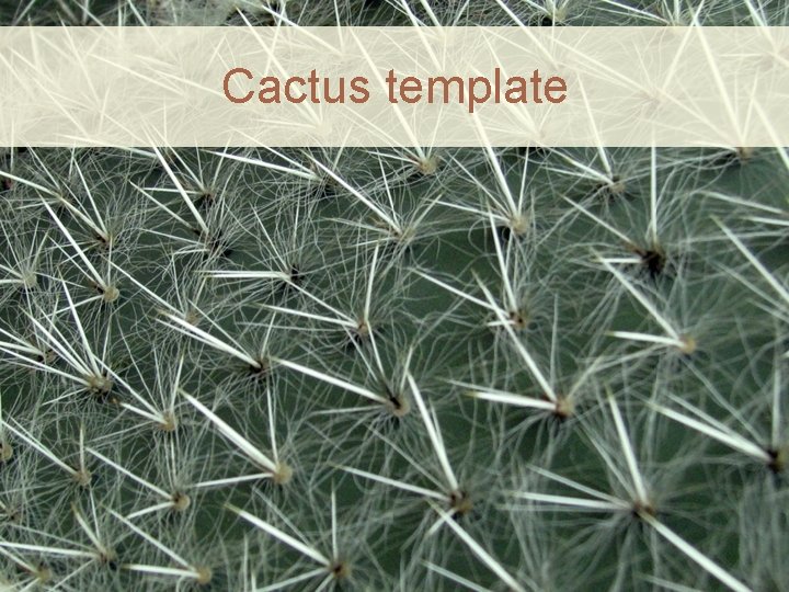 Cactus template Example bullet point slide Bullet point