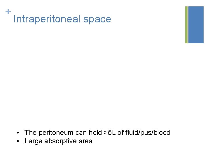 m j leesheffield ac uk wannabehawkeye Peritonitis Introduction