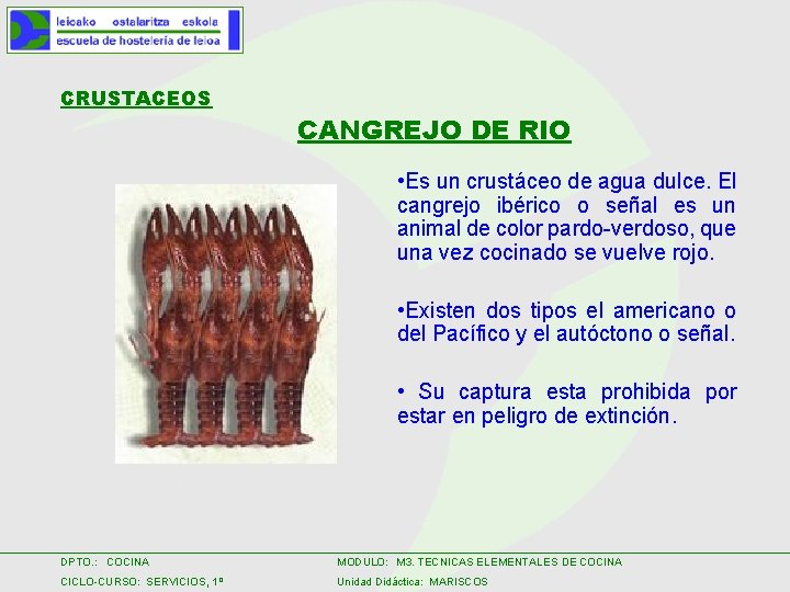 LOS MARISCOS Definicin Animales acuticos marinos o continentales