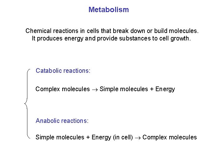 Chemistry B 11 Chapter 17 Metabolic pathway Energy