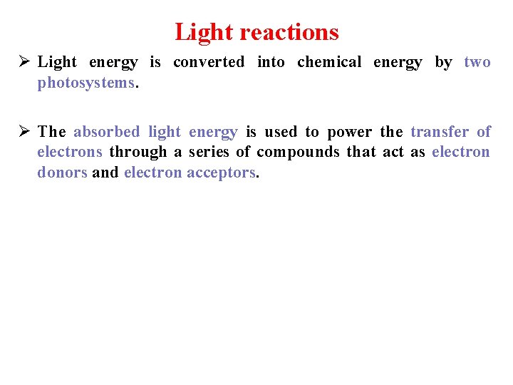 Photosynthesis Light Reaction Syed Abdullah Gilani Photosynthesis The