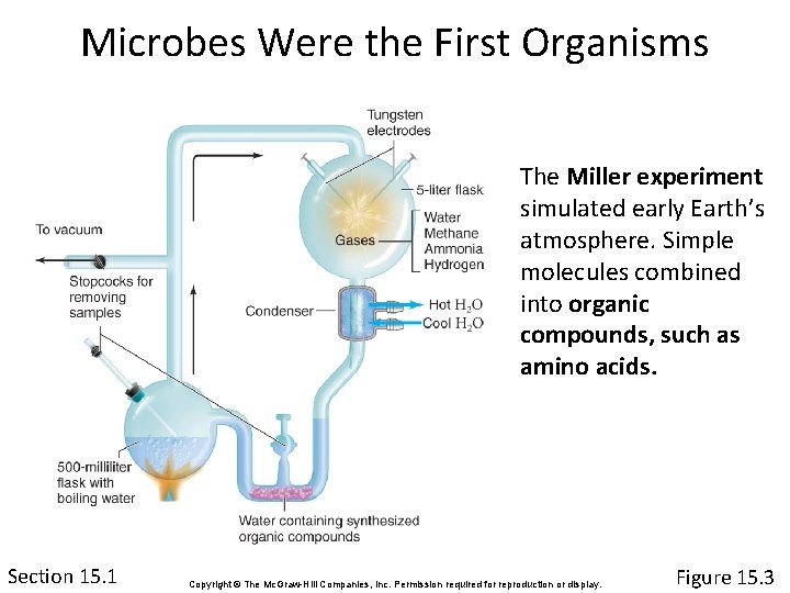 Chapter 15 Evolution and Diversity of Microbial Life