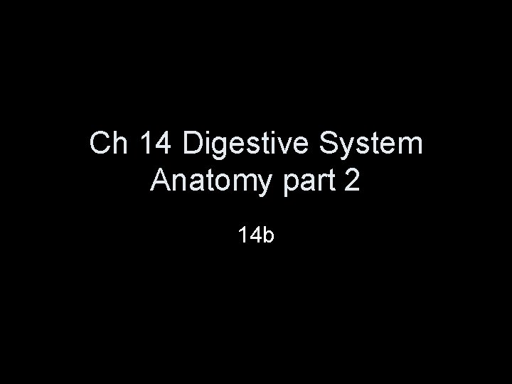 Ch 14 Digestive System Anatomy part 2 14