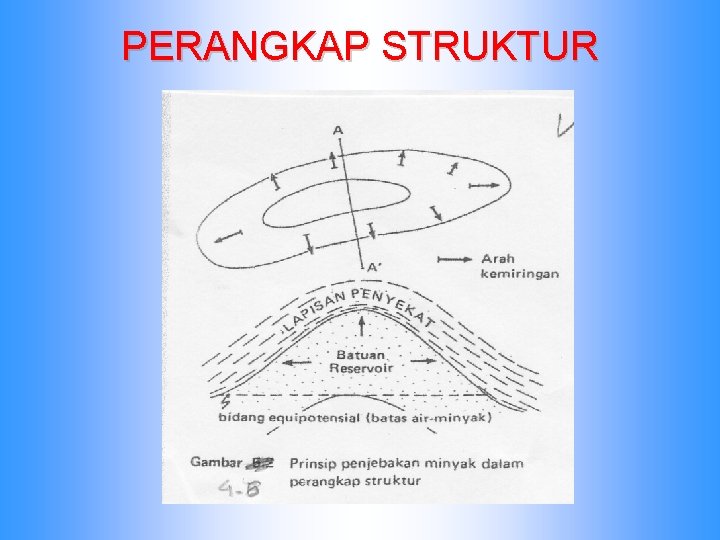 BAHAN GALIAN BAHAN BAKAR BATU BARA Batubara terbentuk
