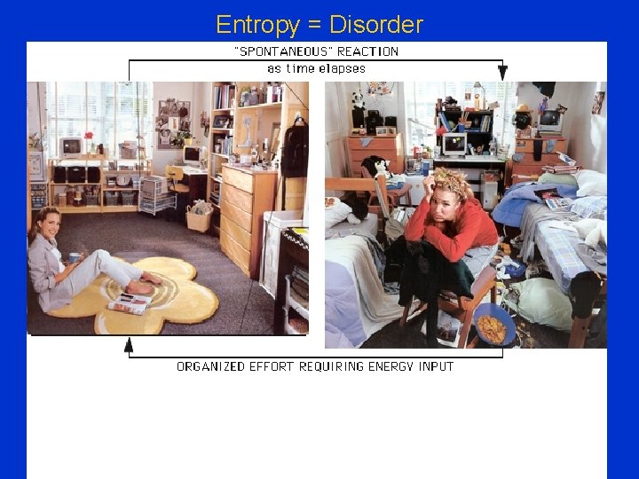 Introduction to Chemical Equilibrium Many Chemical Reactions Are