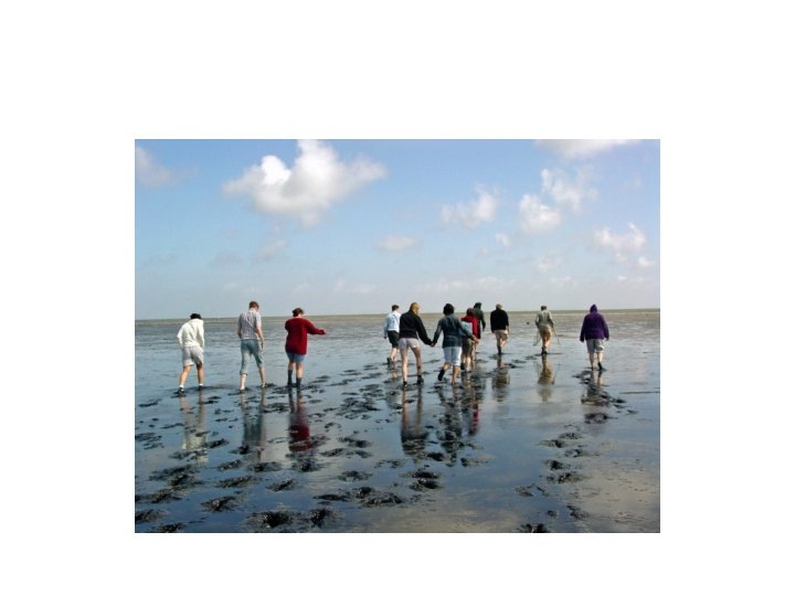 Waddenzee of Noordzee Wereld erfgoed De wadden Wat
