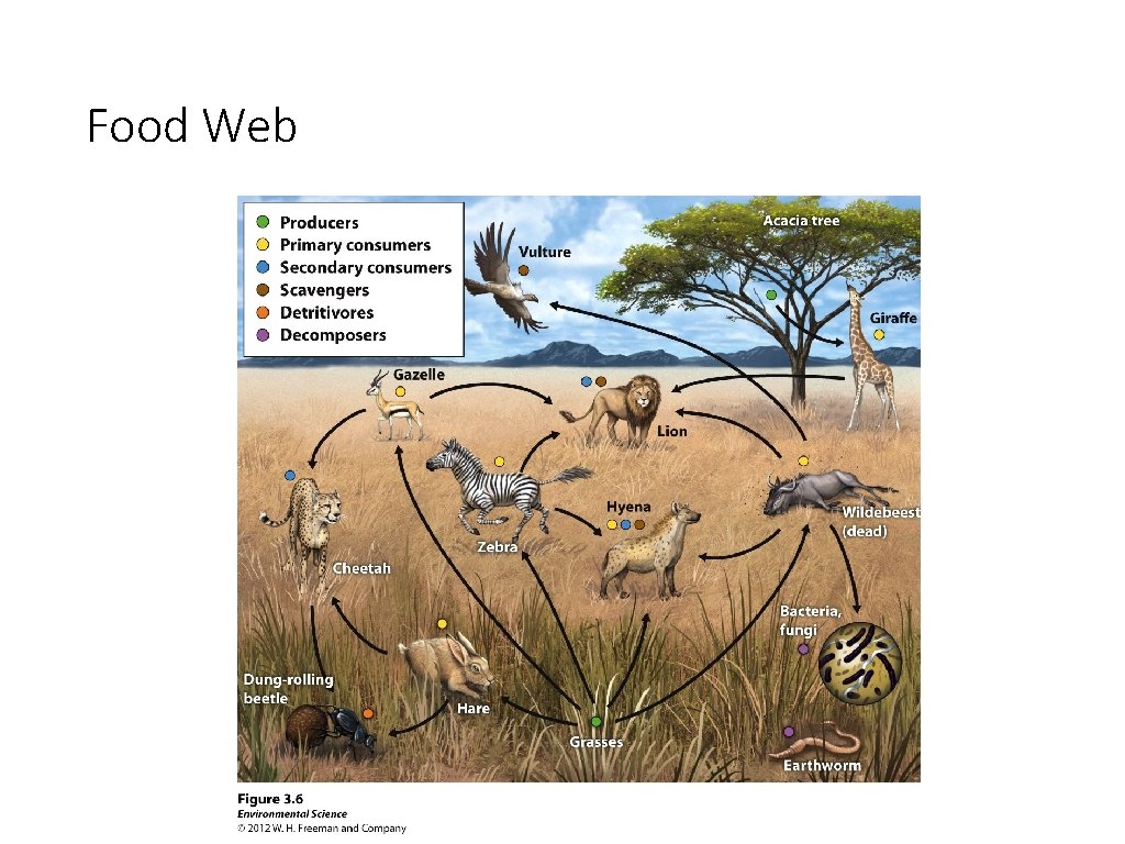 Chapter 3 Ecosystem Ecology Reversing the Deforestation of