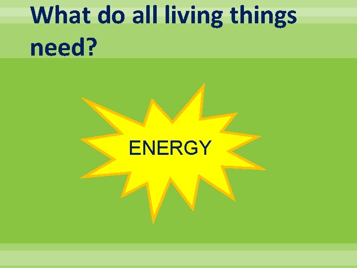 Photosynthesis Chapter 8 What do all living things