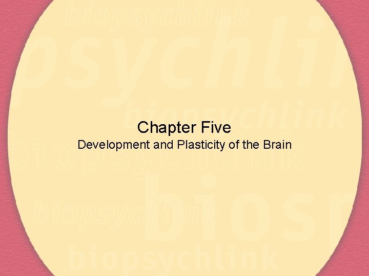 Chapter Five Development and Plasticity of the Brain