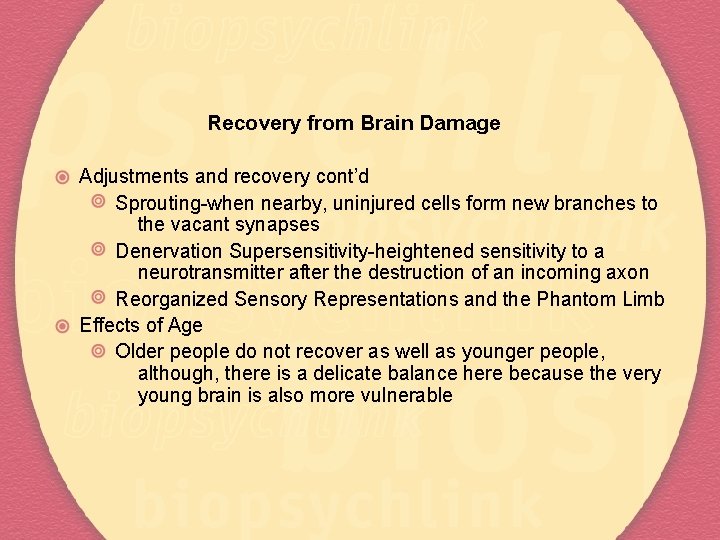 Chapter Five Development and Plasticity of the Brain