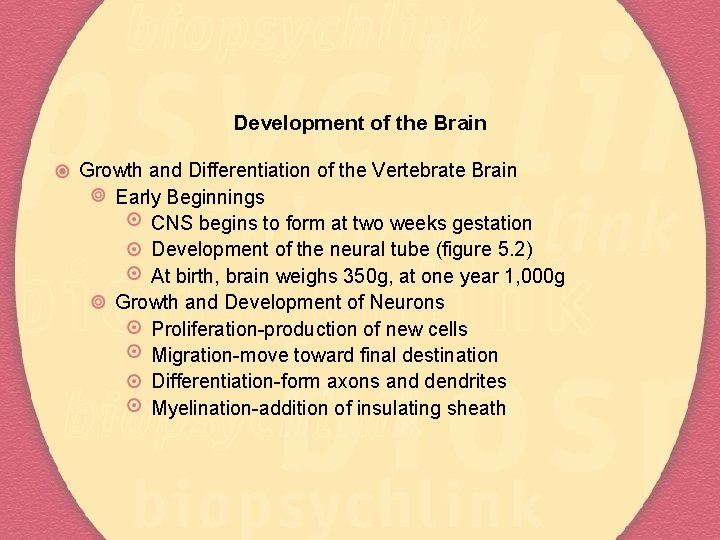 Chapter Five Development and Plasticity of the Brain