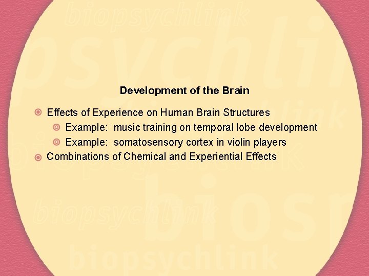 Chapter Five Development and Plasticity of the Brain