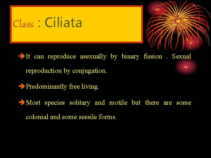 Phylum Protozoa Order Foraminifera e g Globigerina Its