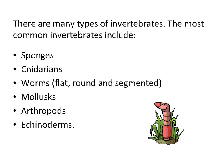 INVERTEBRATES REPRODUCTION Mara Paula Vlez R Some characteristics