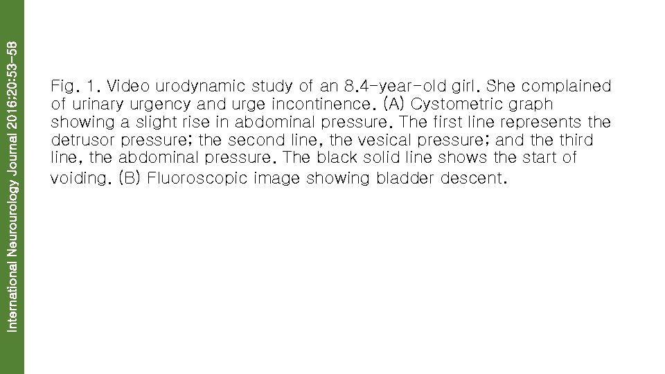 International Neurourology Journal 2016 20 53 58 Weakness