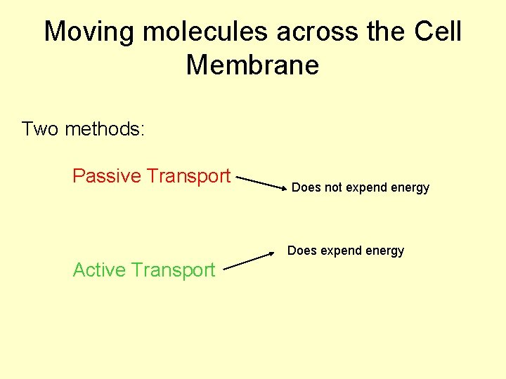Cell Transport Mechanisms Moving molecules across the Cell