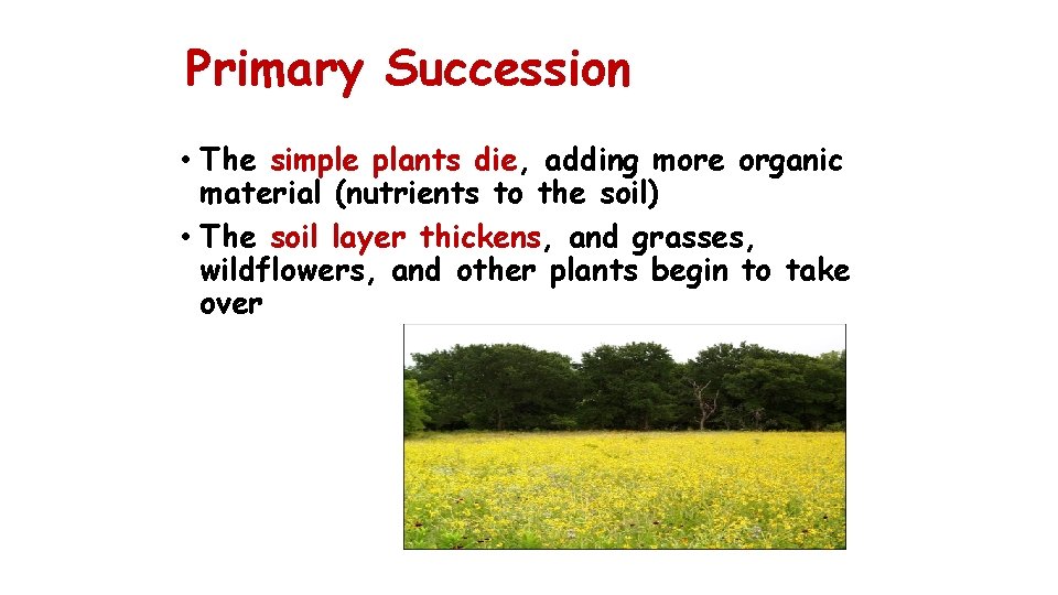 Bell Ringer A biologists compares how different ecosystems