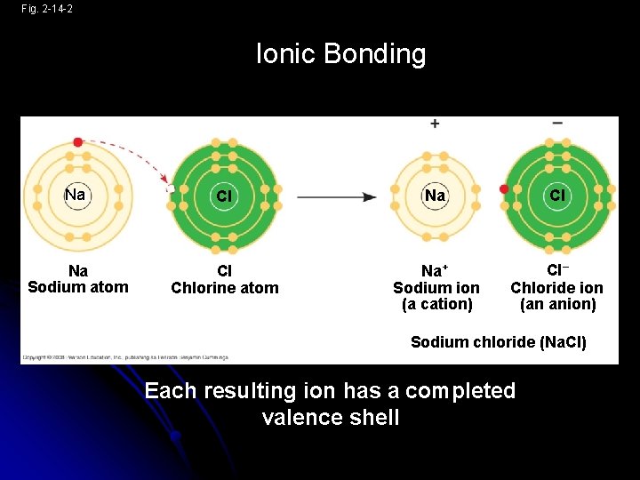 Daily Science Label the following as a molecule