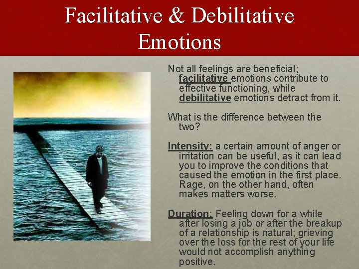 Chapter Five Emotions Thinking Feeling and Communicating What
