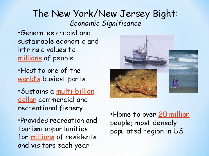 A Presentation By Student Ocean Advocates The New