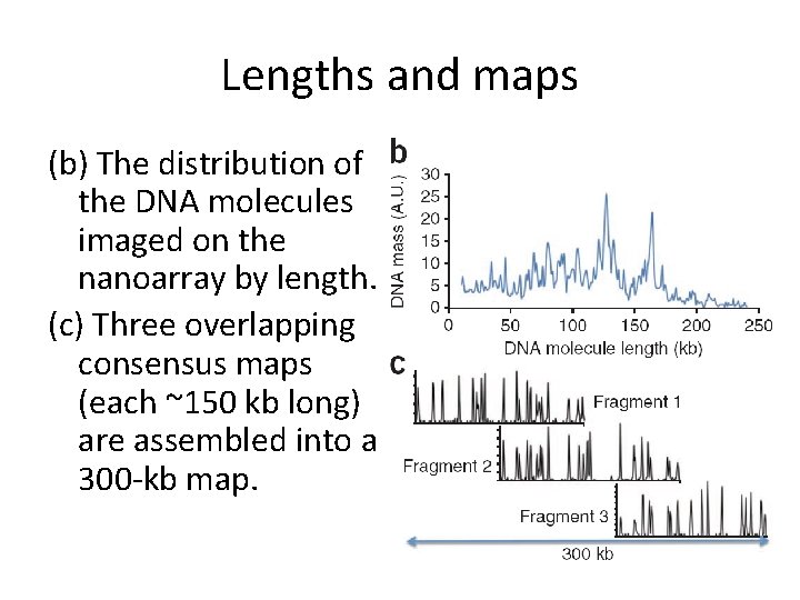 Mapping Genomic Sequences Using Optical Reference Tags ACGT