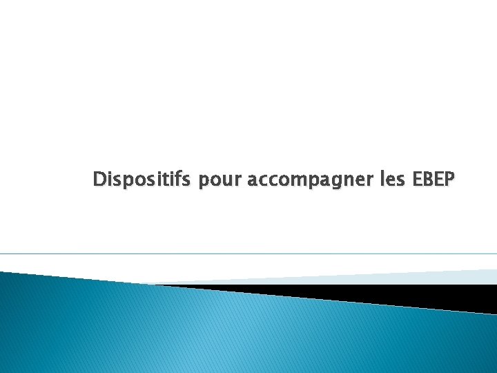 Dispositifs pour accompagner les EBEP Synthese de questionnaires