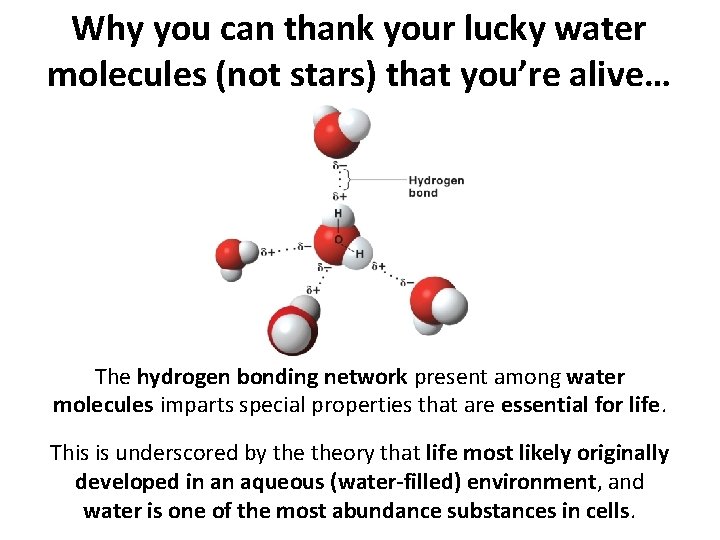 Why you can thank your lucky water molecules