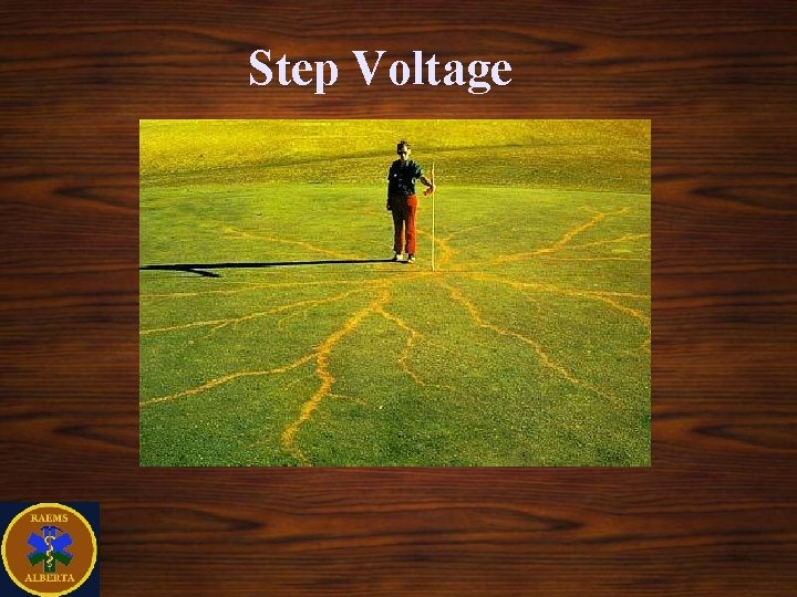 Lightning Injuries in the Backcountry Remote Areas Emergency