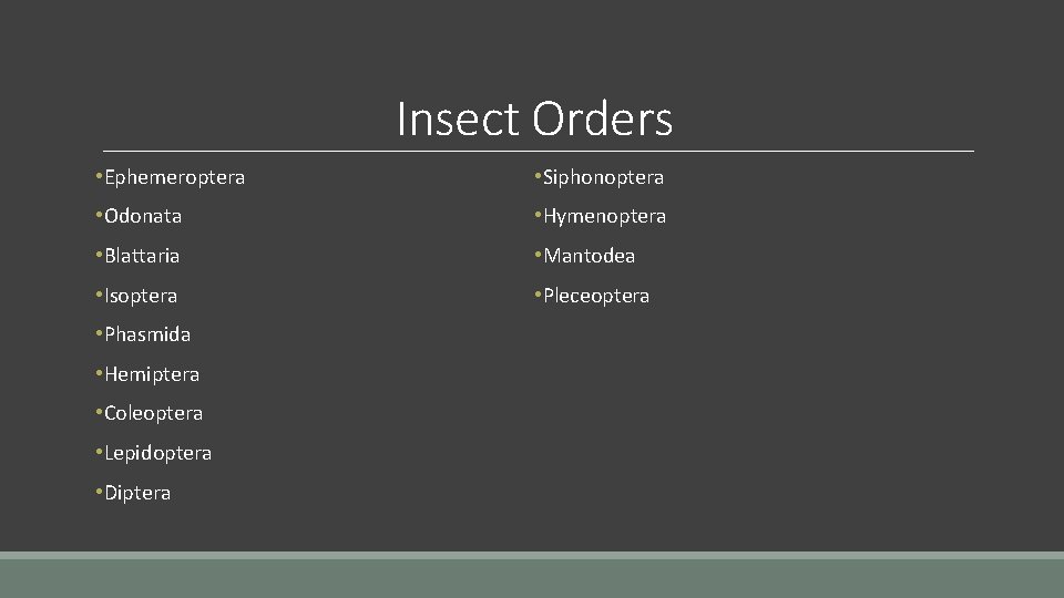 Insect Taxonomic Diversity BY ELIZABETH WYATT 2 N