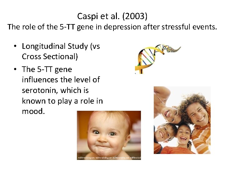 Chromosome Breakdown Chromosomes Genes DNA Nucleotides With reference