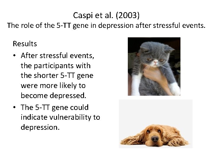 Chromosome Breakdown Chromosomes Genes DNA Nucleotides With reference