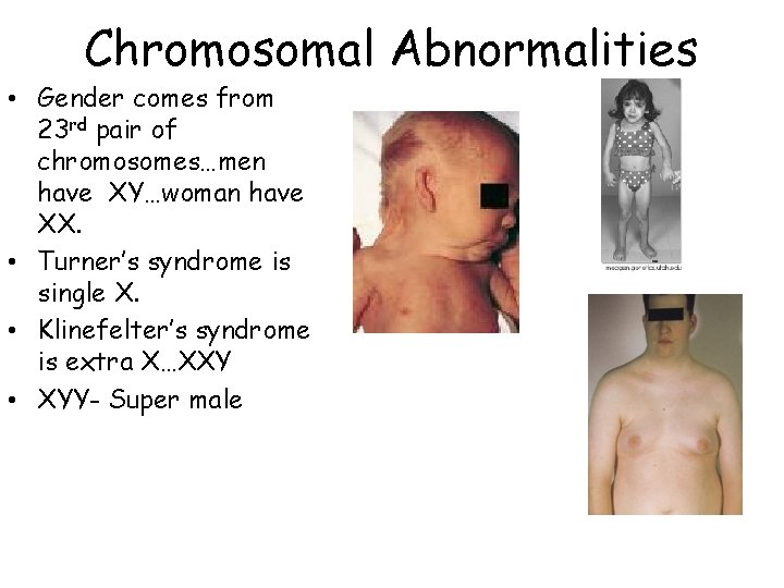 Chromosome Breakdown Chromosomes Genes DNA Nucleotides With reference