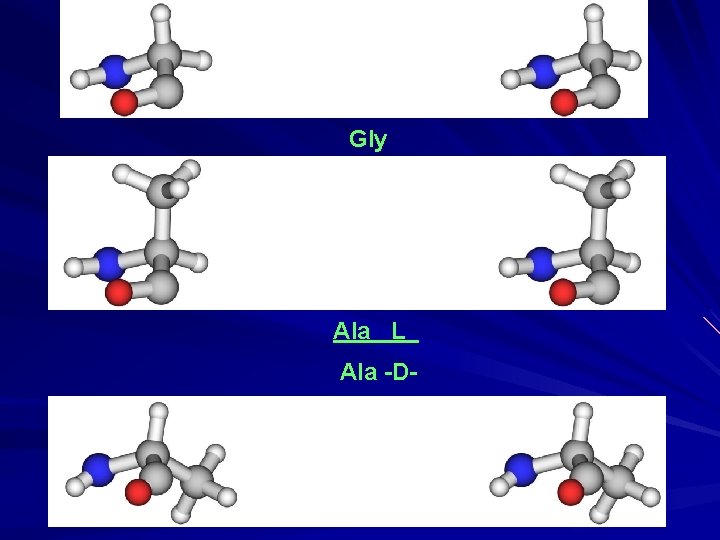 PROTEIN PHYSICS LECTURE 2 Protein chain regular backbone