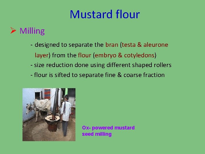 Mustard Processing and Technology INTRODUCTION v After palm
