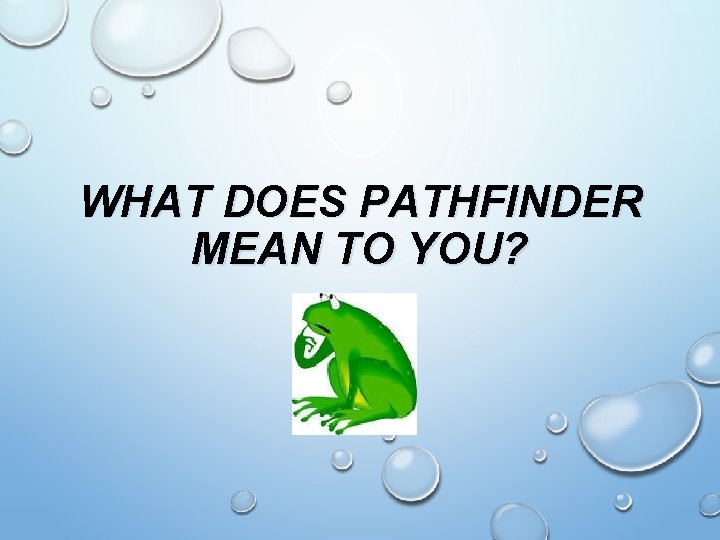 PATHFINDER STACEY PRIMARY SCHOOL AN INNER CITY PRIMARY