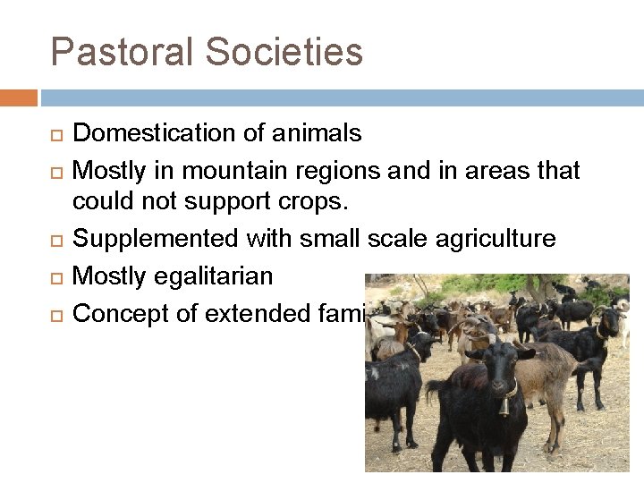 APWH 8000 BCE600 CE Created by Jenna Jones