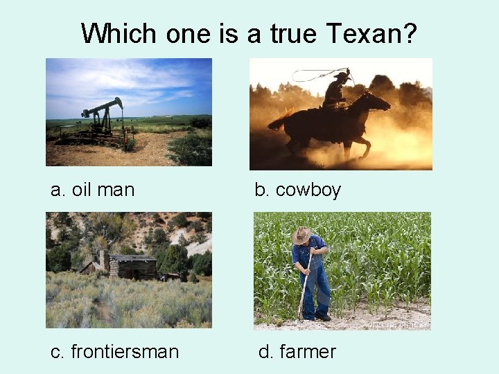 Which one is a true Texan a oil
