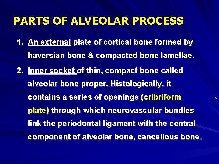 Definition It is that portion of the maxilla