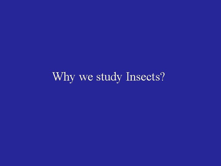 Spring Semester 2020 INSECT BIOLOGY JongJin LEE Ph