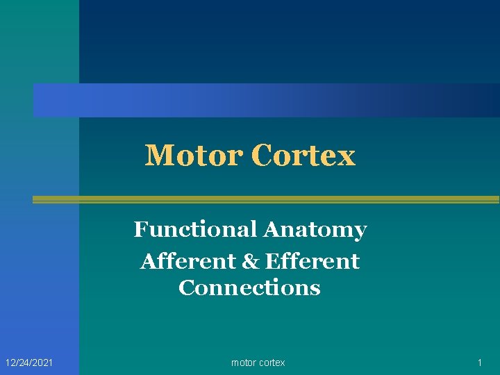 Motor Cortex Functional Anatomy Afferent Efferent Connections 12242021