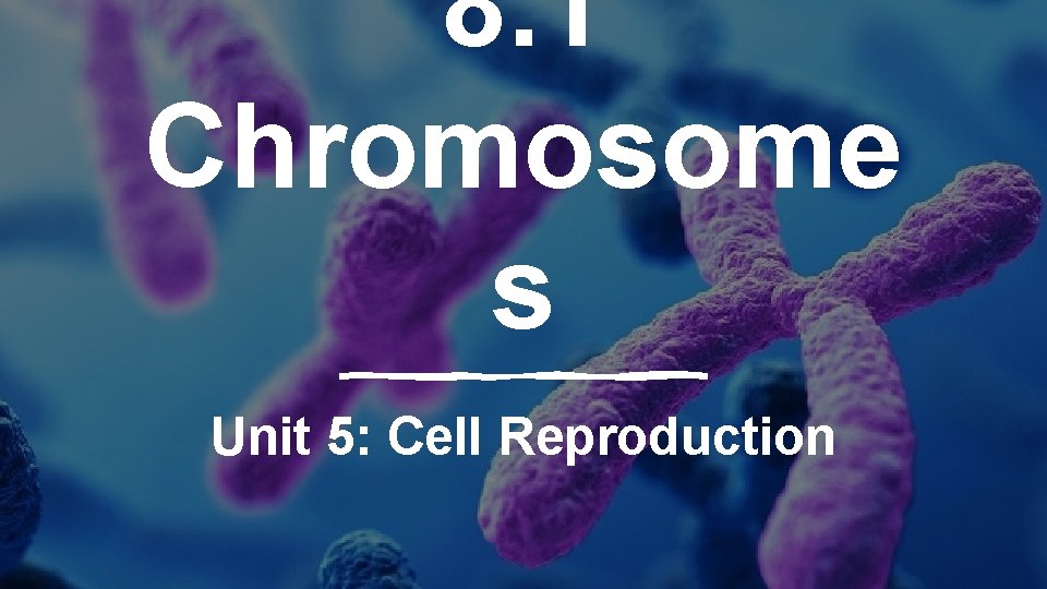 8 1 Chromosome s Unit 5 Cell Reproduction