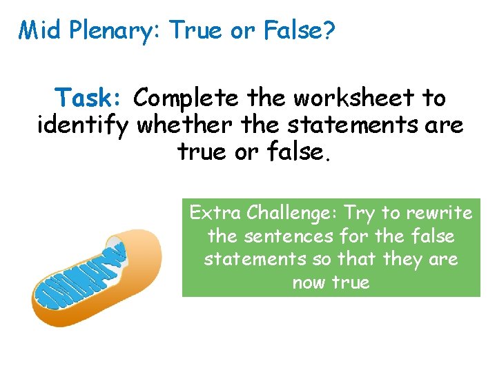 Aerobic Respiration DNA 1 What is released during