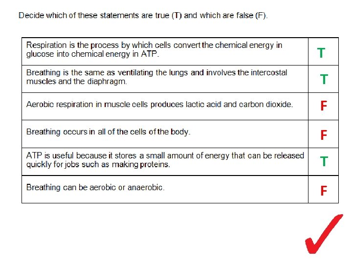 Aerobic Respiration DNA 1 What is released during