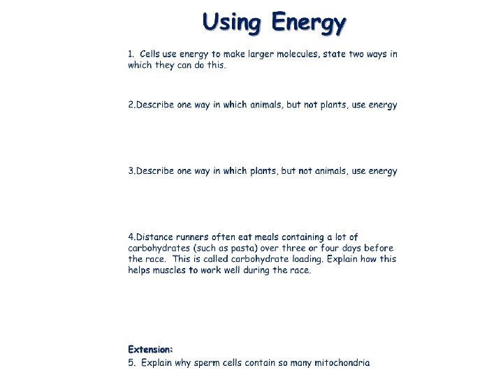Aerobic Respiration DNA 1 What is released during