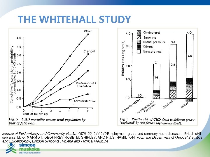 THE SOCIAL DETERMINANTS OF HEALTH A PUBLIC HEALTH