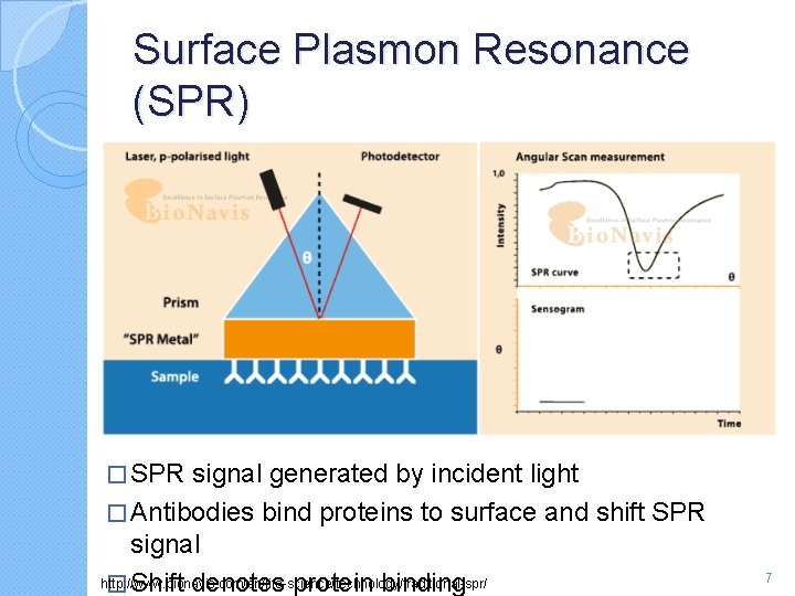 The role of exosomes in cancer metastasis and