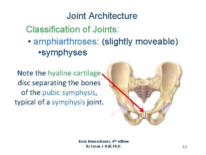 Chapter 5 The Biomechanics of Human Skeletal Articulations